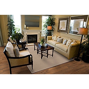 Garland Rug Plush Remnant Area Rug, 4'x6', Beige/Tan