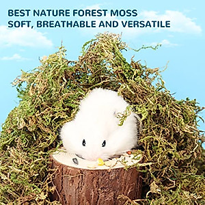 LUVCOSY Hamster Decoration Package = Bath Sand + Flower Petals + Forest Moss + Coconut Fiber + Wooden Fence, Habitat Bedding Accessories for Guinea Pig, Reptile & Small Animals