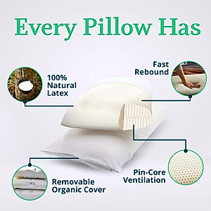 OrganicTextiles Talalay Latex Pillow with Organic Cotton Cover (Queen Size, Soft), GOTS Certified, Bed Pillow for Sleeping, Neck Pain Relief Help, Head Support, for Side Back Stomach Sleeper