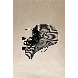 BABEYOND Tea Party Fascinator Kentucky Hat Derby Fascinator Feather Pillbox Hat for Cocktail Black