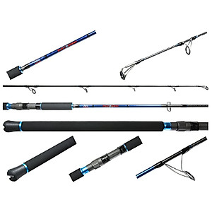 Jigging world Black Widow 300S Spinning 2-Piece Popping Rod