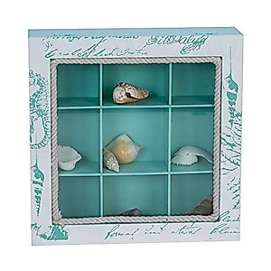Beachcombers Square Shell Collecting Shadow Box Glass Wood Keepsake Memories Coastal Nautical Beach Home Accent Decor Decoration 9.75" x 9.75" Teal