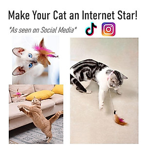 KOTYA Cat Teasing Wand Silicone Collar Hands Free Toy with Bell and Feathers (Sky Blue)