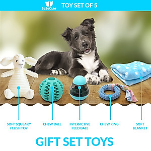 SoSoCute Blue Dog Gift Box - Puppy Chew Toy Set of 5 - Puppy Care Package with Dog Blanket, Squeaky Plush, Rubber Puppy Teether, Teething Ball, and Treat Ball for Small and Medium Dogs