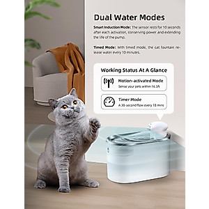 HABWES Cat Water Fountain with Stainless Steel Tray, Battery Operated Pet Drinking Fountain with 3 Filters, Motion Sensor Automatic Water Dispenser for Dogs Small Animals