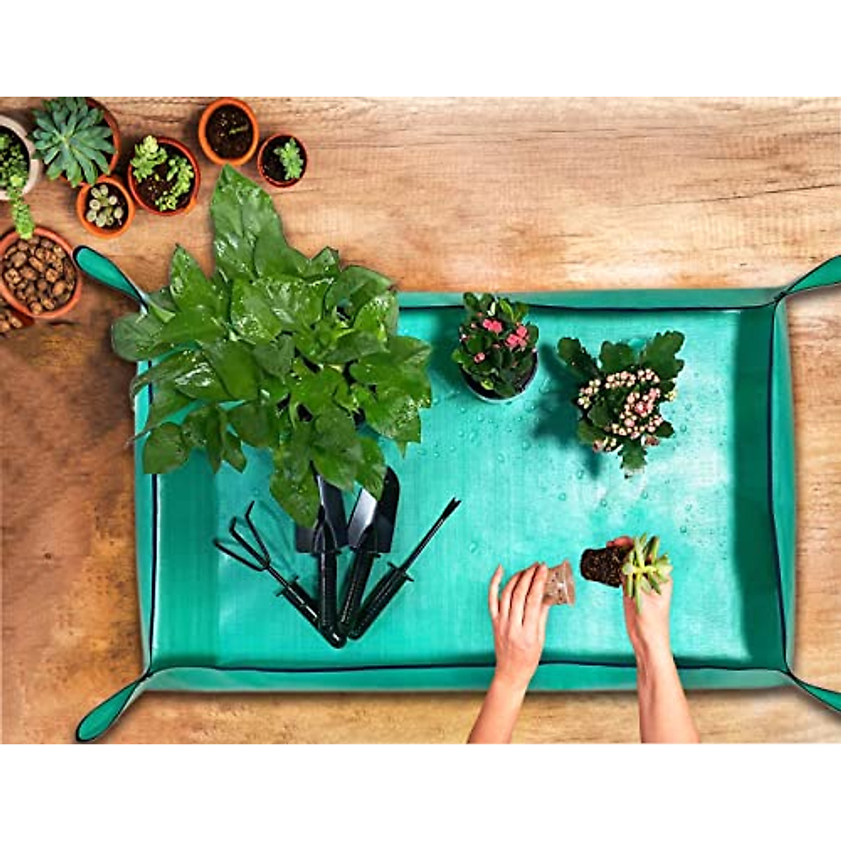 2 PCS Plant Repotting Mat for Indoor Plants, 43" X 29" Thickened Foldable Waterproof Plant Potting Tray and Mess Control, Portable Potting Mat Gardening Tray for House Plants Succulents, Extra Large