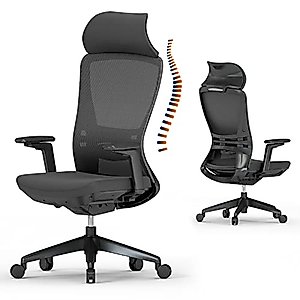 FANMEN Home Office Desk Chair, Ergonomic Mesh Executive Office Chair with 3 Position Tilt Function, Comfortable High Back Black Computer Chair with 3D Adjustable Armrest & Lumbar Support