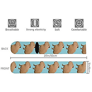 antfeagor Capybara Printable Athletic Tube Stockings Women Men Classics All-Season Cotton Crew Work Socks Sport