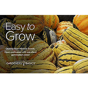 Delicata Squash Seeds for Planting - Winter Squash Heirloom, Non-GMO Vegetable Squash Variety- 3 Grams Seeds Great for Summer Garden by Gardeners Basics