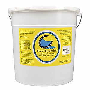 Horse Quenchers Apple Jug, 13 Pounds