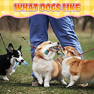 RoundFunny 100 Pieces Knot Rope Dog Toys Multi Color Puppy Knot Chew Toy Cotton Puppy Toys Dental Dog Teething Toys 2 Knot Dog Tug for Small and Medium Dogs Aggressive Chewers Supplies