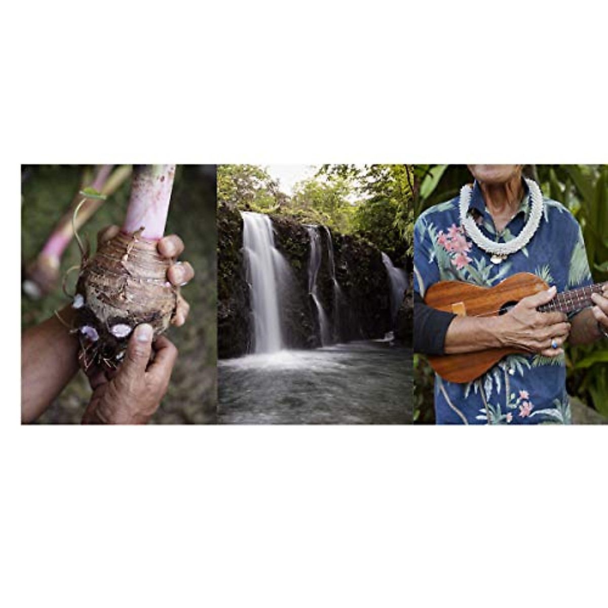 Cook Real Hawai'i: A Cookbook