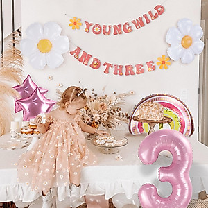 Young Wild and Three Decorations Girl Banner,3rd Birthday Party Decorations,Groovy Retro Hippie Boho Daisy Flower Rainbow And Pink Stars Foil Balloon For Birthday Party Supplies