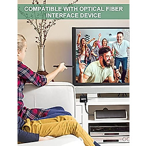 RAWAUX Digital Optical Splitter 1 in 2 Out Toslink Splitter Audio Optical Cable Adapter Fiber Converter 24K Gold Plated Connector for Home Theatre