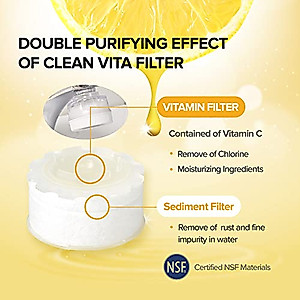 BODIBEAM Bathroom Sink Filter, Set of 2, NSF Certified, Removes Fine Impurities, Chlorine & Rust, Vitamin C Gel, Skincare Water Filter, Gifts for Women