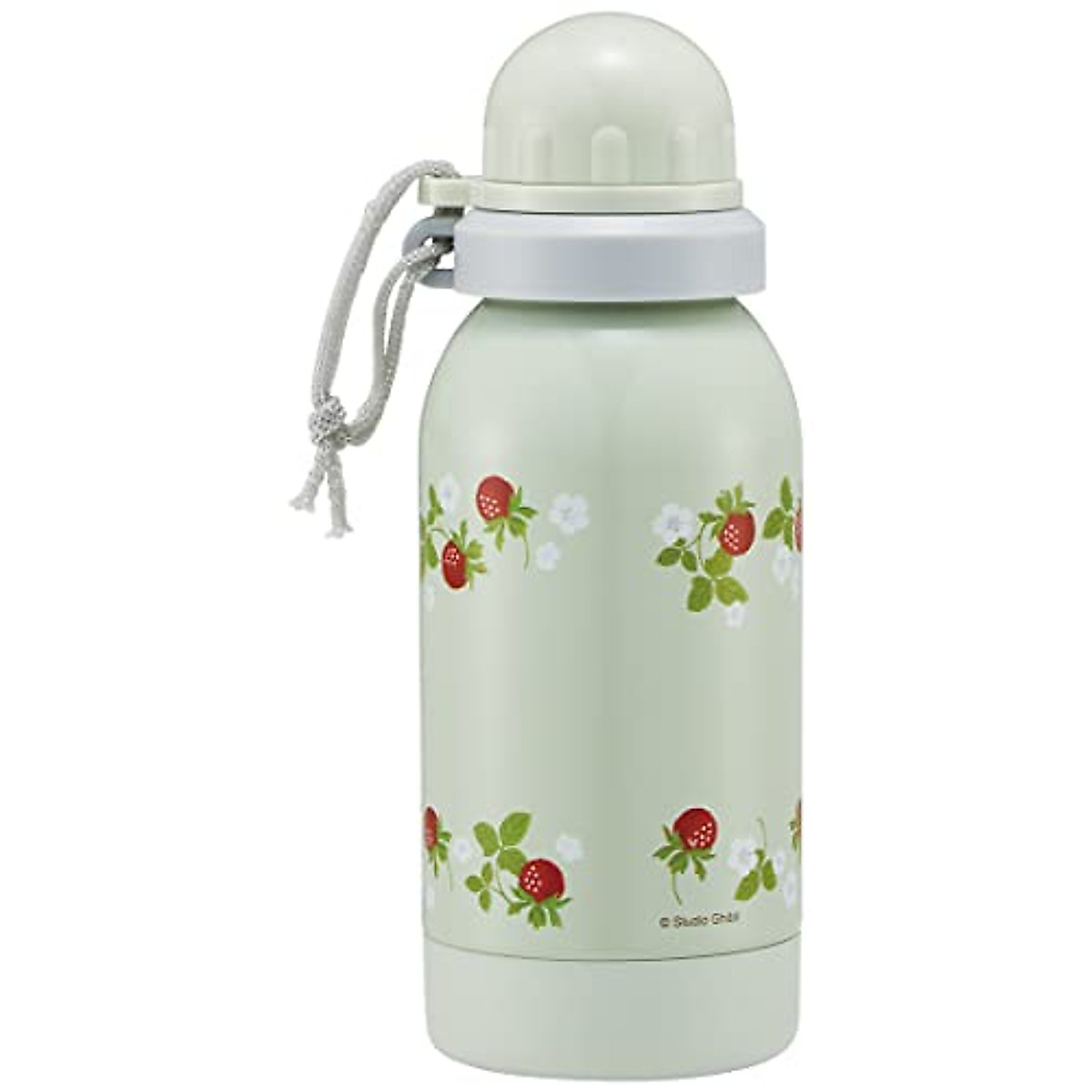 Skater SSSC6-A Single Layer Stainless Steel Bottle, 20.9 fl oz (580 ml), Room Temperature, Health, For Drinks, My Neighbor Totoro, Strawberry, Studio Ghibli