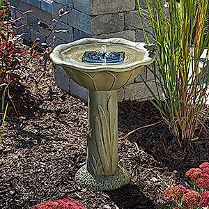 SmartSolar 20633R01 Solar Birdbath, Medium, Olive Green