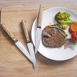 LANDOSAN Steak Knives Set of 4 Stainless Steel serrated steak knives Natural wood handle Knife Set