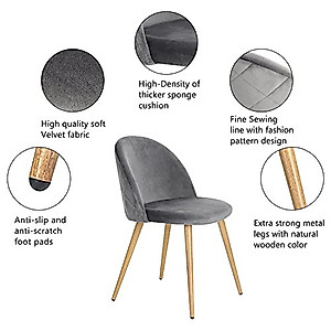 GreenForest Dining Chairs Set of 2, Modern Velvet Kitchen Room Chair Upholstered Accent Leisure Side Chairs with Metal Legs, Gray