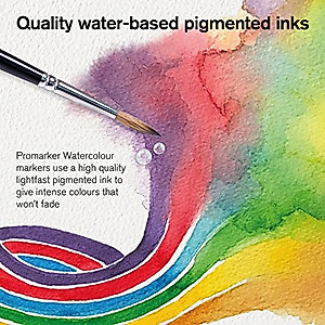Winsor & Newton ProMarker Watercolor Marker Set, 12 Count, Basic Tones
