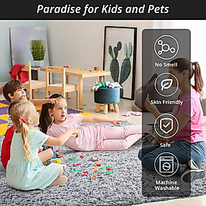 HOMBYS Shaggy Area Rug 8x10 Feet, Ultra Soft Large Plush Faux Fur Carpet, Non-Skid Bedroom Living Room Rug for Kids Playroom Home Decor, Light Grey