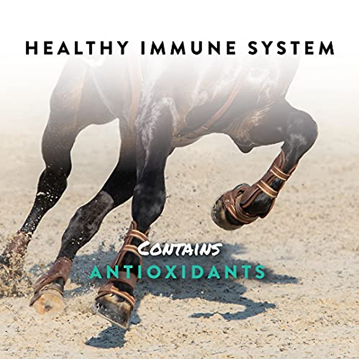 Manna Pro Sho-Flex Supplement for Horses | Formulated with MSM, Glucosamine, and Chondroitin | 5 Pounds