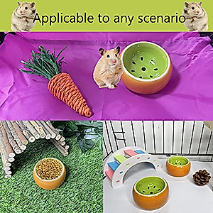 Hamster Bowl, Ceramic Guinea Pig Water Bowl Small Animal Food Dish for Syrian Hamster Rabbit Gerbil Chinchilla Hedgehog Sugar Glider Rat (2 Pcs)