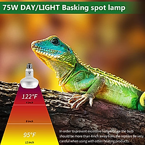 REPTI HOME Reptile Heat Lamp Bulbs Intense 100W 4 Pack, Reptiles & Amphibians UVA Basking Spot Lamp Bulb,Simulate Natural Sunlight Reptile Daylight Heat Bulb for Bearded Dragon, Snake