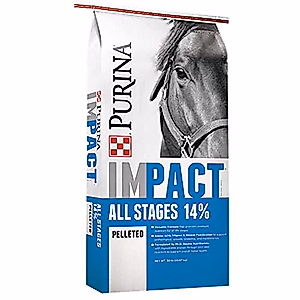 Purina | Impact All Stages 14 Pelleted Horse Feed | 50 Pound ( 50 LB) Bag