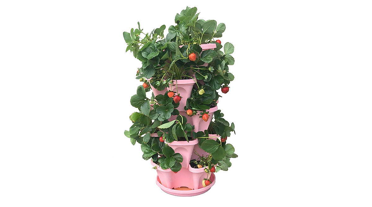 5-Tier Pink Strawberry Planter - Stackable Herb Pots