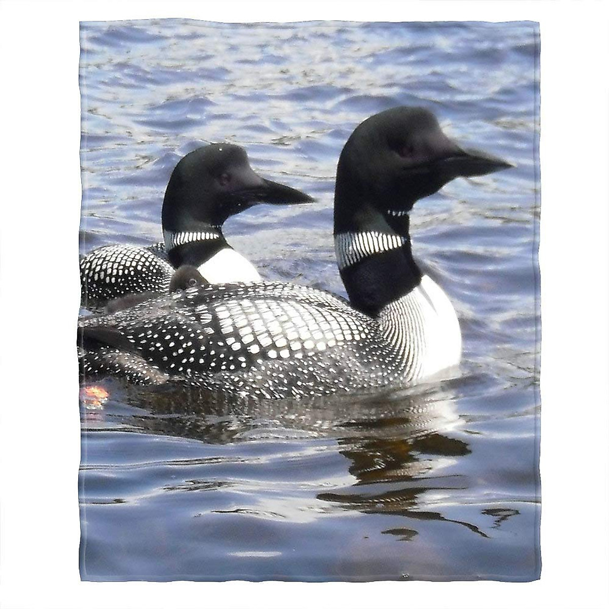 Moslion Soft Cozy Throw Blanket Loon Lake Wild Duck Fuzzy Warm Couch/Bed Blanket for Adult/Youth Polyester 60 X 80 Inches(Home/Travel/Camping Applicable)
