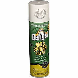 Bengal Chemical Ant and Spider Killer, 17 oz