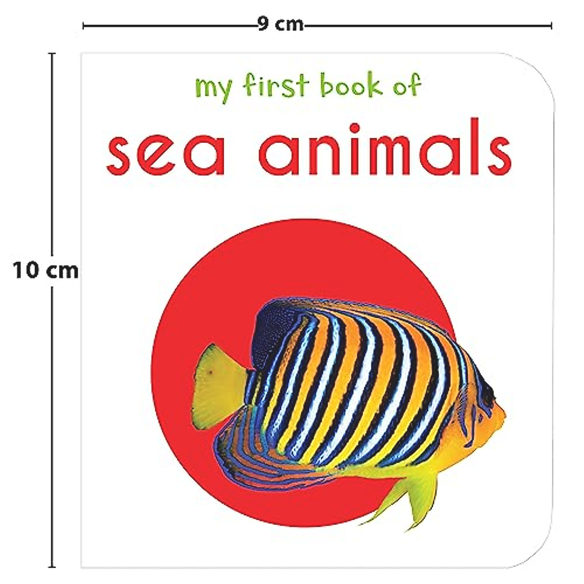 My First Library : Boxset of 10 Board Books for Kids