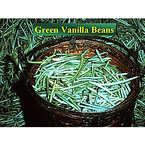 Bakto Flavors 8 oz. Madagascar Pure Vanilla Extract. 3 Bottles.