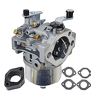 raseparter 491912 Carburetor Replacement for Briggs & Stratton 491912 161436 161432 Lawn Garden Mower Engine with Gaskets