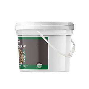 Birch & Meadow 1 Gallon of Mullein Leaf, Cut & Sifted, Herbal Tea