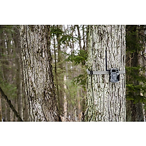 SPYPOINT Link Micro VZN Version (Smallest on The Market!) outdoor Wireless/Cellular Trail Camera, 4 Power LEDs, Fast 4G Photo Transmission w/Preactivated SIM, Fully Configurable via App, 1080p