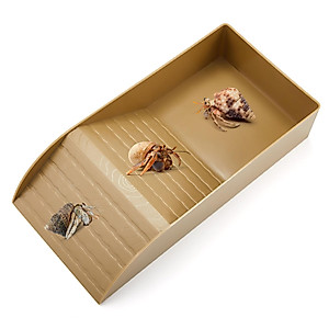 Ziliny Hermit Crab Water Tank with Climbing Ramp Large Reptile Climbing Toy Tortoise Habitat Accessories Turtle Basking Platform Aquarium Pool Supplies for Small and Medium Amphibians (Wood Color)