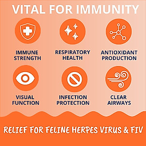 Under the Weather Pet Daily Cat L-Lysine | Boost Immune System Reduce Respiratory Symptoms | Maintain Normal Immune System Response | 60 Star Shaped Soft Chews