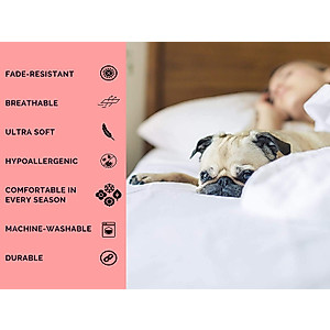 CharlottelyHues 1 Piece Duvet Cover 1000 Thread Count 100% Egyptian Cotton Breathable Soft Duvet Cover Set With Zipper & Corner Ties Quilt Cover Sateen Weave Durable Duvet King/Cal King (Bright White)