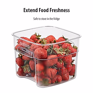 Cambro FreshPro 6Qt Food Storage Container in Clear for Industrial and Kitchen Use, Pantry Organization and Food Freshness
