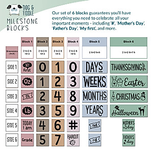 Dog & Fiddle Baby Milestone Blocks & Baby Shower Gifts. Baby Girl Baby Month Milestone Baby Girl Shower Gift Milestone Blocks for Baby boy Baby Age Milestone Blocks Baby Months Photo Prop