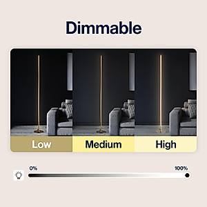 JONATHAN Y JYL7007B Iris 59.5" Integrated Dimmable LED Floor Lamp Modern Standing Lamp Contemporary for Bedrooms, Living Room, Office, Reading, Gold