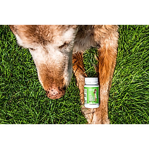 New Zealand Deer Velvet Senior Formula for Dogs