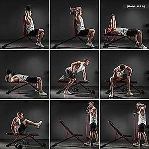 Pelpo Adjustable Weight Bench, Folding Weight Lifting Bench, Workout Bench for Home, Incline/Decline Bench for Full Body Workout, Strength Training Benches, Max Load 660lbs