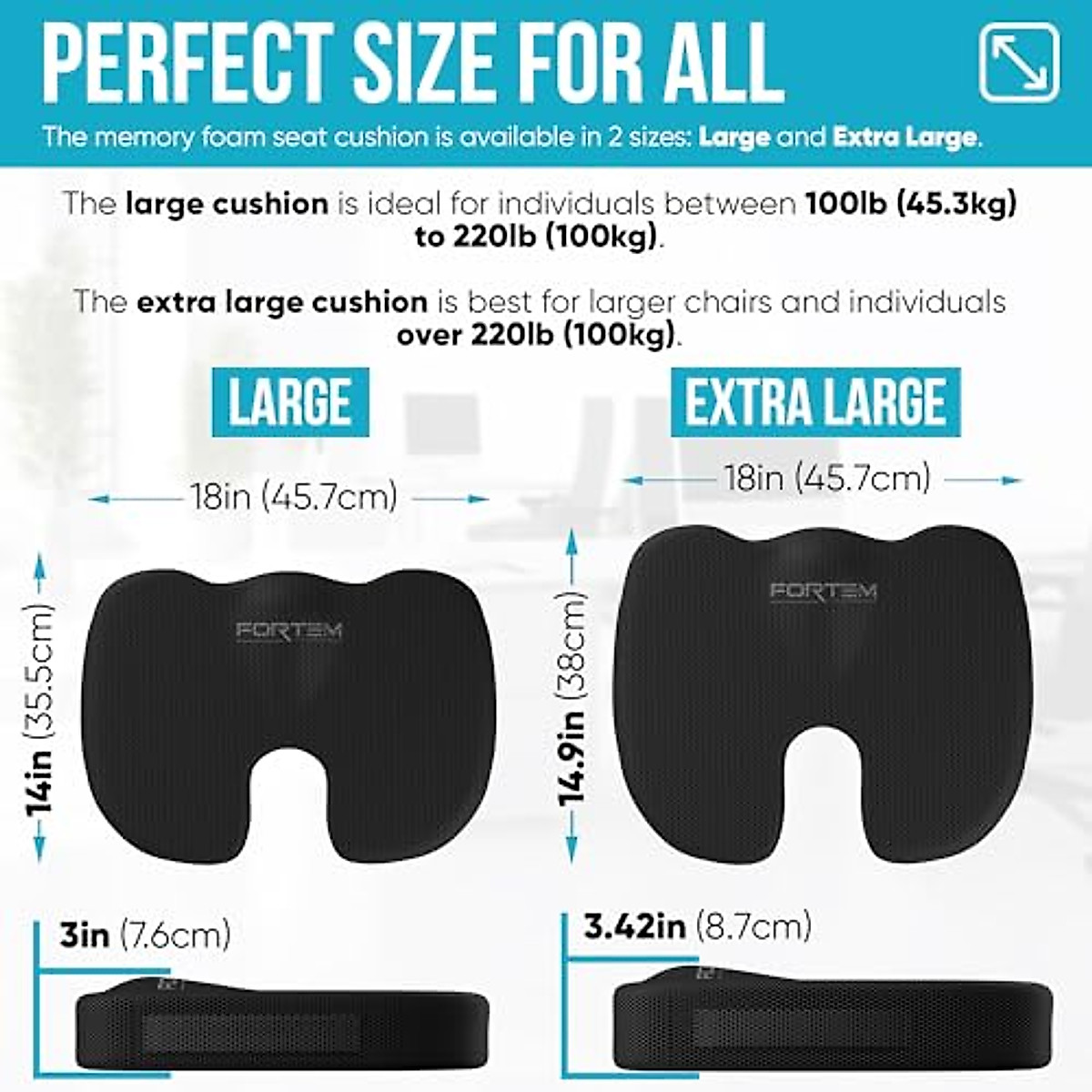 FORTEM Chair Cushion, Seat Cushion for Office Chair, Lumbar Support Pillow for Chair, Car Seat Cushion, Back Support Memory Foam Pillow Washable Cover (Blue, Mesh)