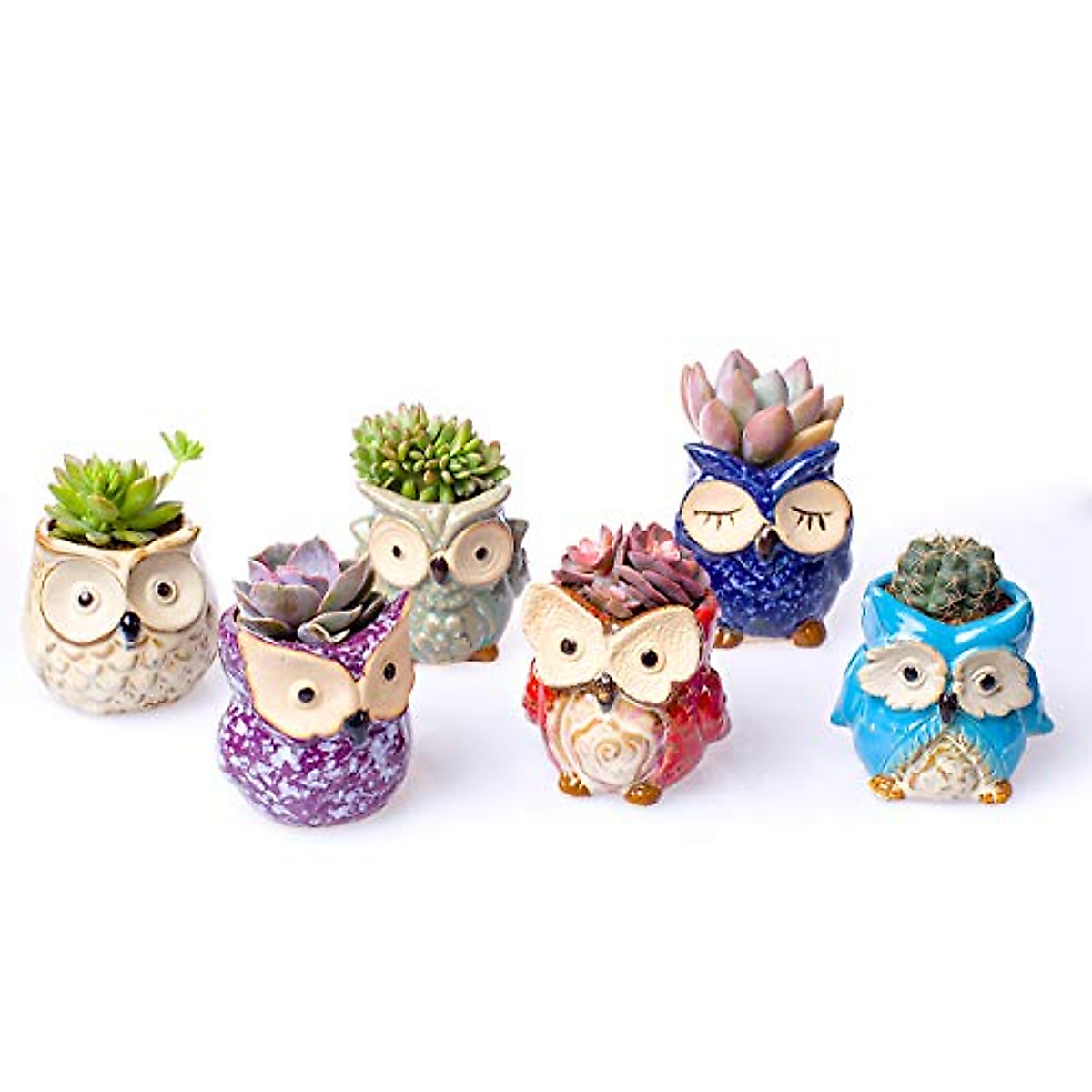 Claywa Ceramic Owl Succulent Pots Cute Animal Plant Planters 2.75" to 3.35" with Drainage Pack of 6 Plants Not Included