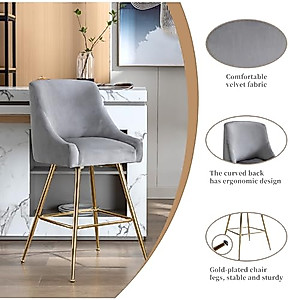 Restworld Velvet Bar Chair Set of 2, Furniture Series Modern Decoration, Polished Gold Metal Legs