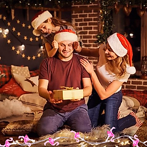 WIND Flamingos Holiday LED Christmas Light Phone Charging Cable, 8 LED Pink 50inch Charger Cord for Phone 14/Pro Max/Pro/Plus,Phone 13/Pro Max/Pro/Mini,12 Pro Max/11 Pro/8/7 Airpods etc