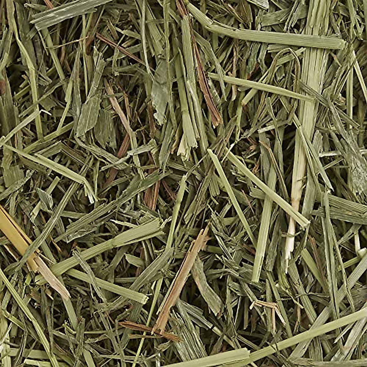 F.M. Brown's Tropical Carnival Natural Timothy Hay for Guinea Pigs, Rabbits, and Other Small Animals, with High Fiber for Healthy Digestion - 24 oz